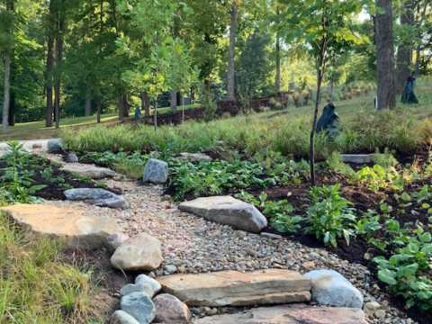 Portfolio | Sanctuary Native Landscapes